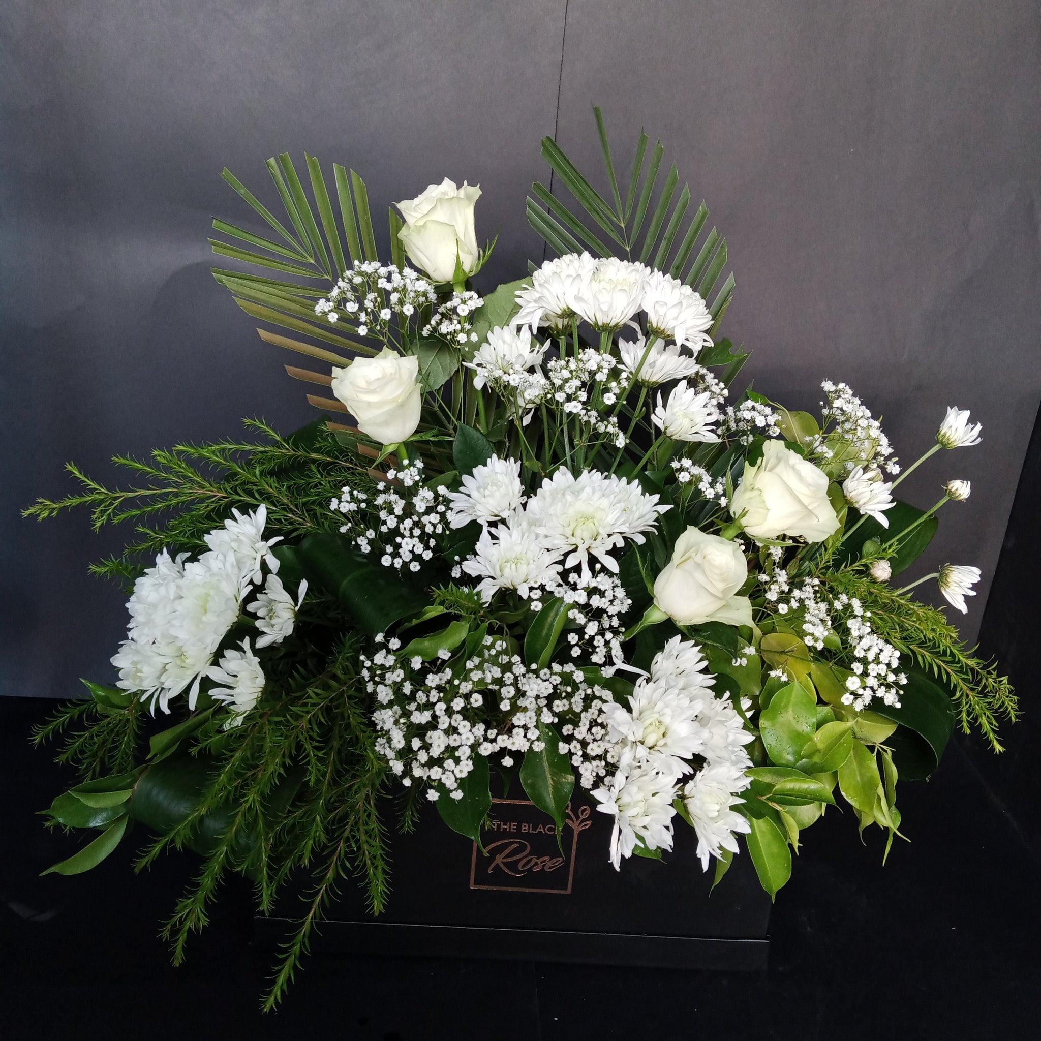 Daisy – The Black Rose